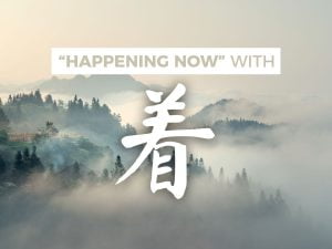 Basic Mandarin Words | In or At | Mandarin Blueprint