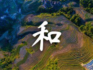 How To Use 'Guo' in Chinese? | Mandarin Blueprint